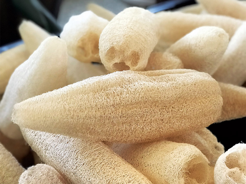 Enjoy Magazine's Article – Luffa Gardens
