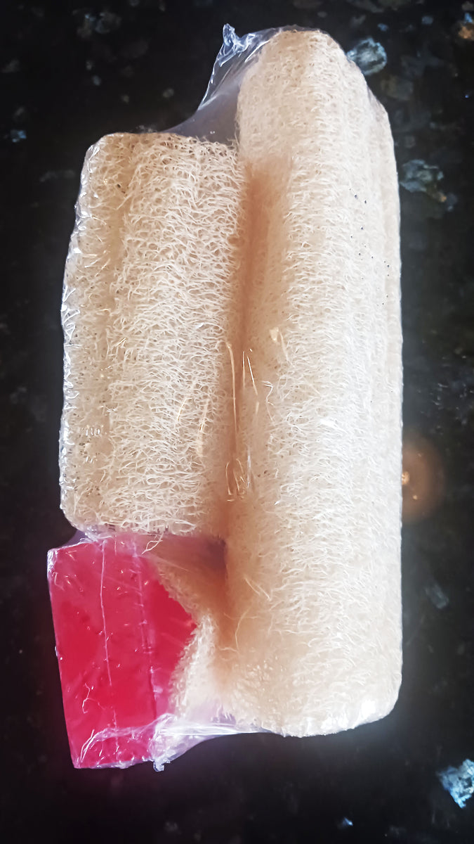 The 3 in 1 Combo, Luffa+Dish Sponge+Cherry Almond Luffa Soap! – Luffa ...