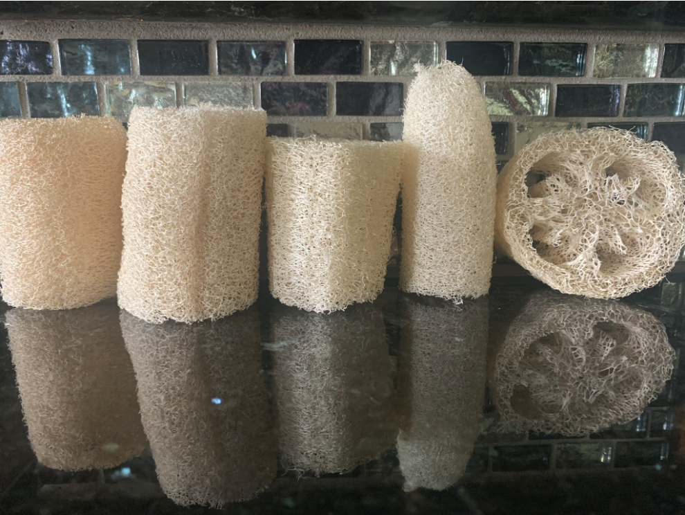 Pet Sponge Kit - Kitty Addition – Luffa Gardens