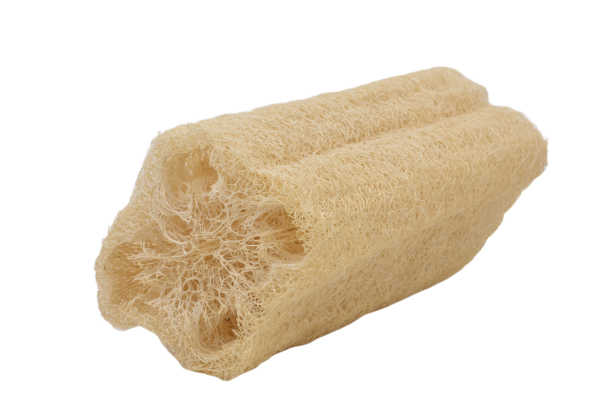 SunSponge! – Luffa Gardens