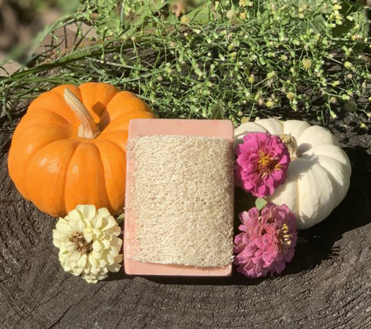 "Pumpkin Spice" Handmade Goat's Milk Moisturizing Luffa Soap 4oz Bar ...