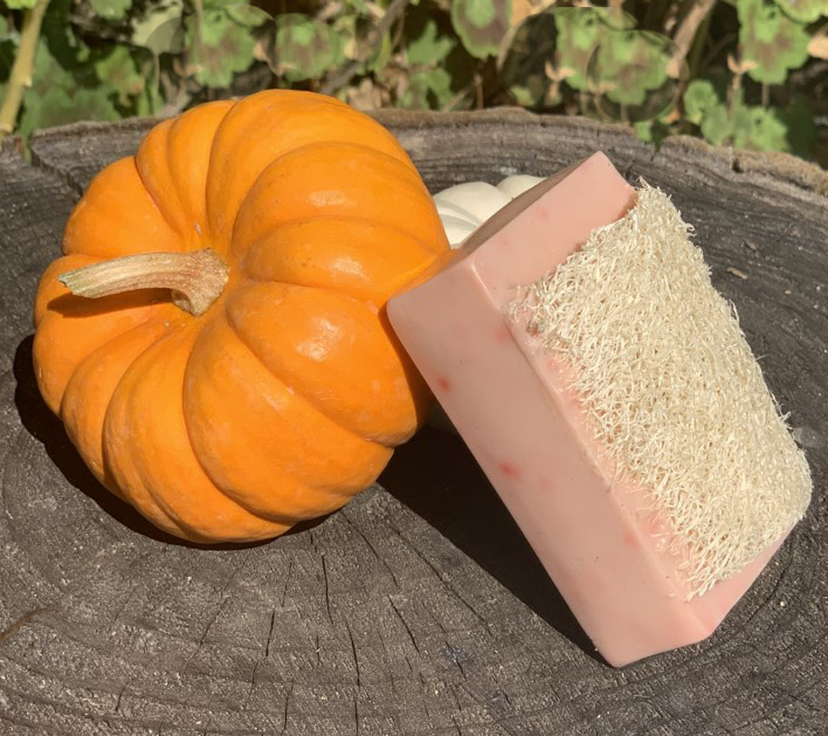 "Pumpkin Spice" Handmade Goat's Milk Moisturizing Luffa Soap 4oz Bar ...