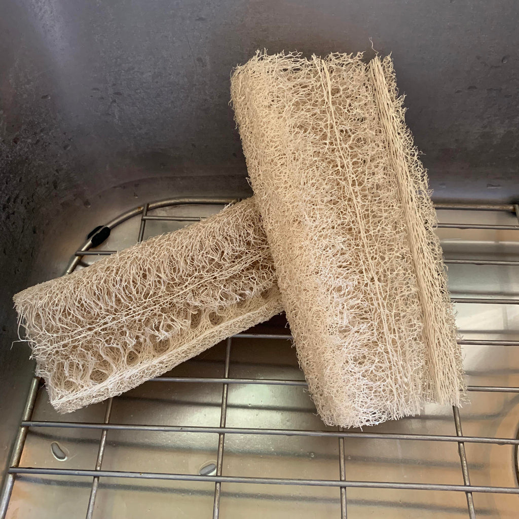 XXL Luffa Super Scrubber 2-pack. – Luffa Gardens