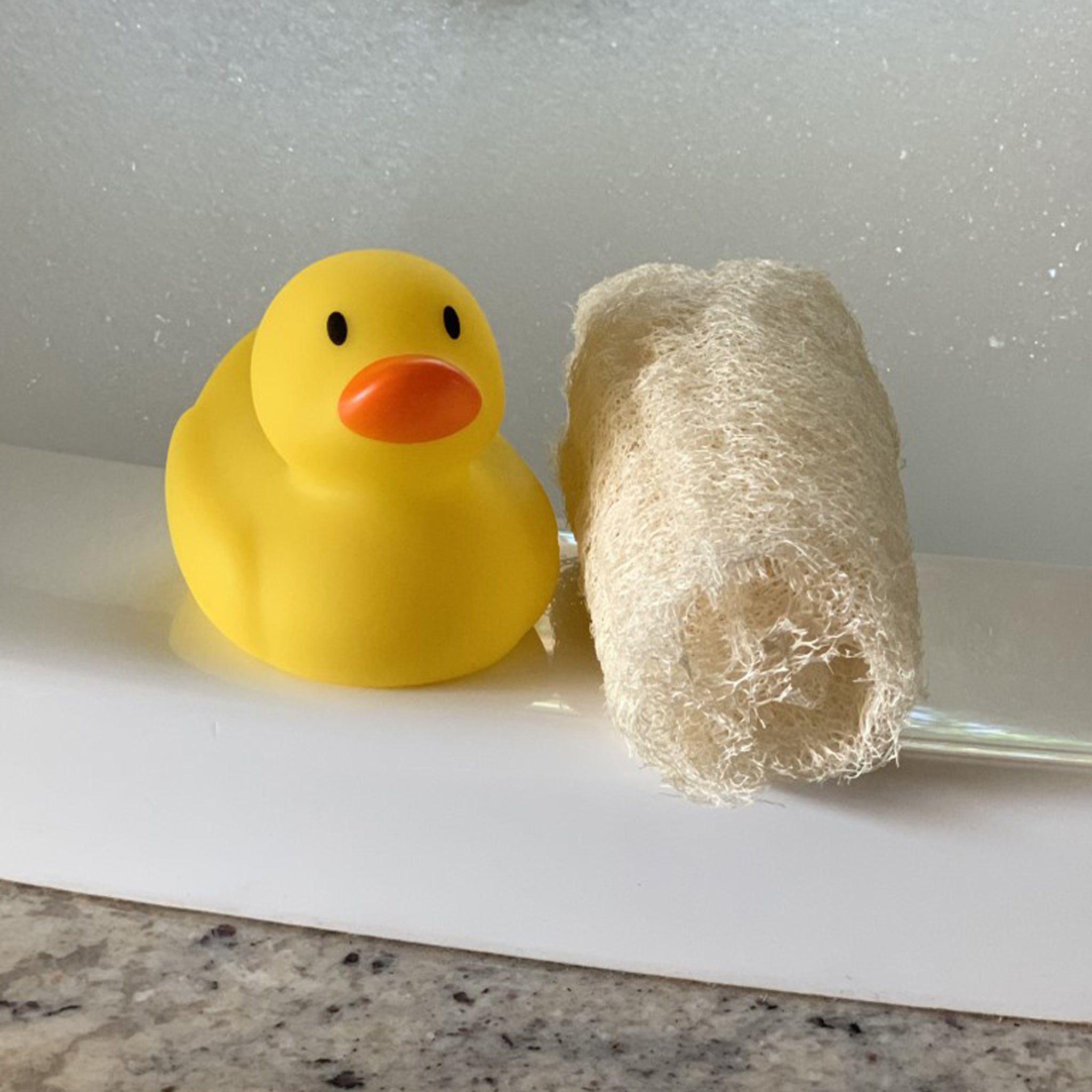 Heirloom Luffa Sponges – Luffa Gardens