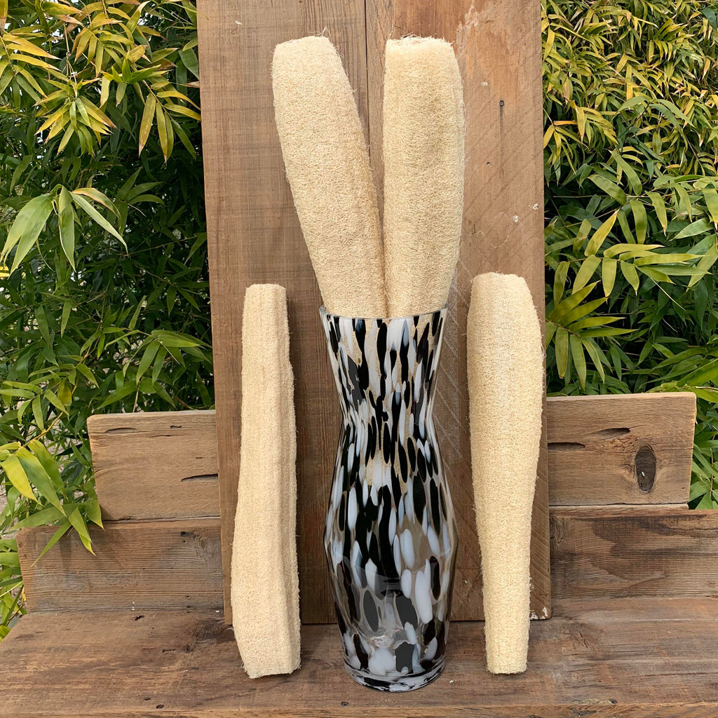 #1 All Natural Farm Grown "MONSTER" Luffa Sponge!!! – Luffa Gardens