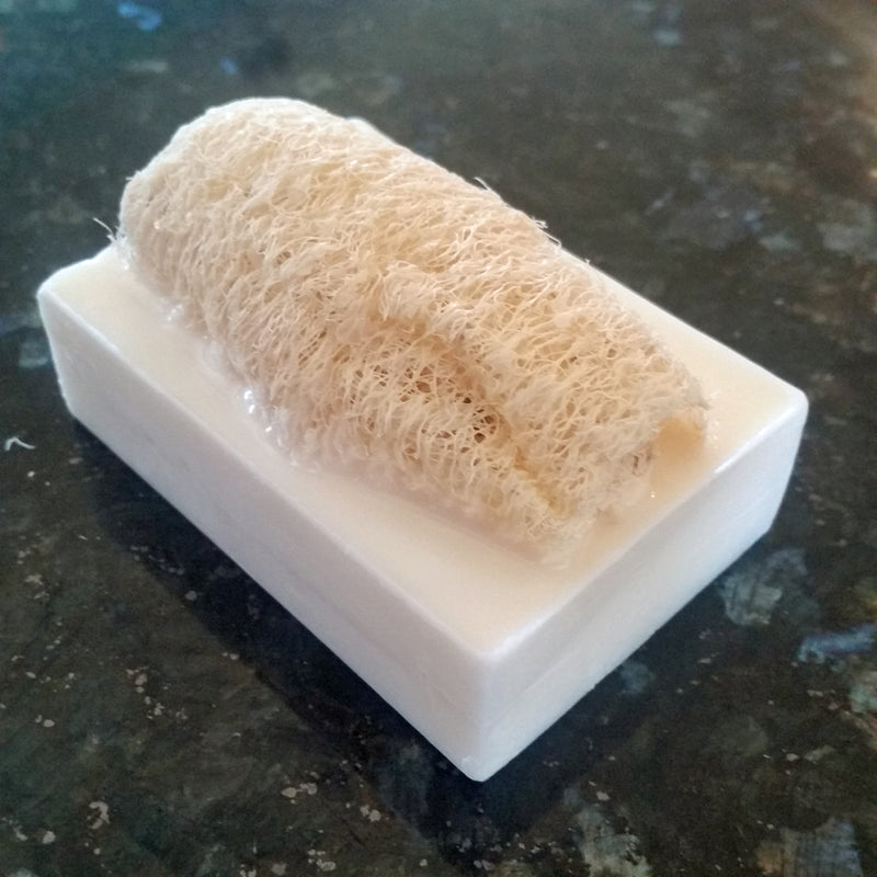 "LOVESPELL" Handmade Goat's Milk Moisturizing Luffa Soap 4oz Bar ...