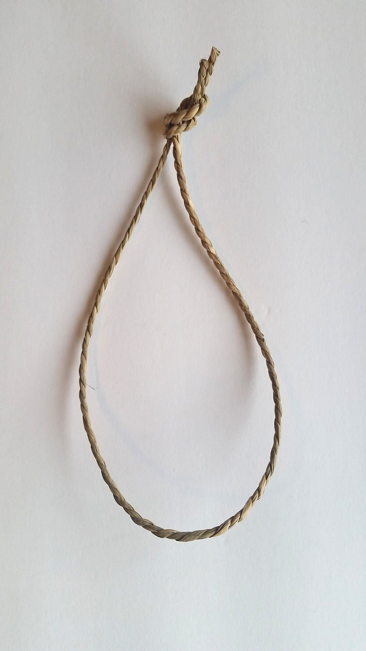 Add a Natural Grass Rope to Any Luffa Sponge. – Luffa Gardens