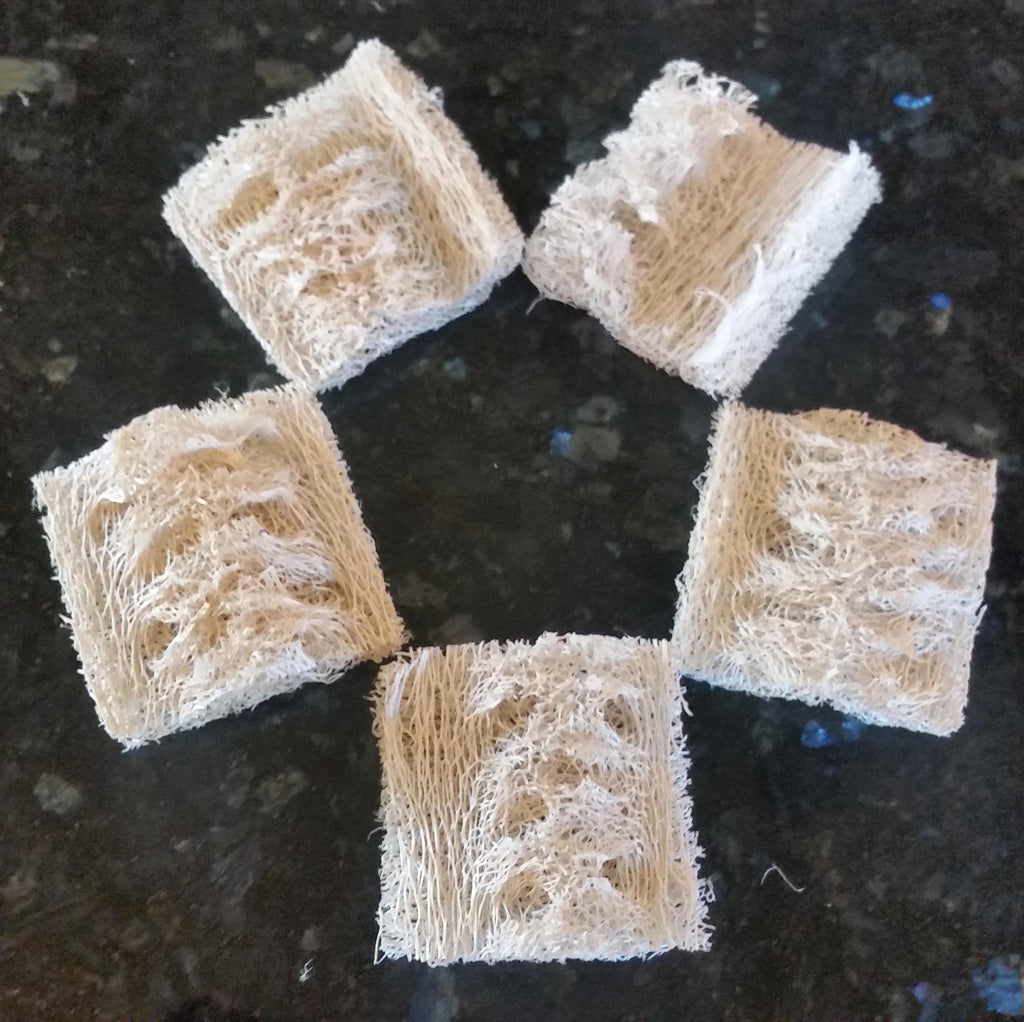 All Natural Pre-Cut Luffa Squares 5-Pack – Luffa Gardens