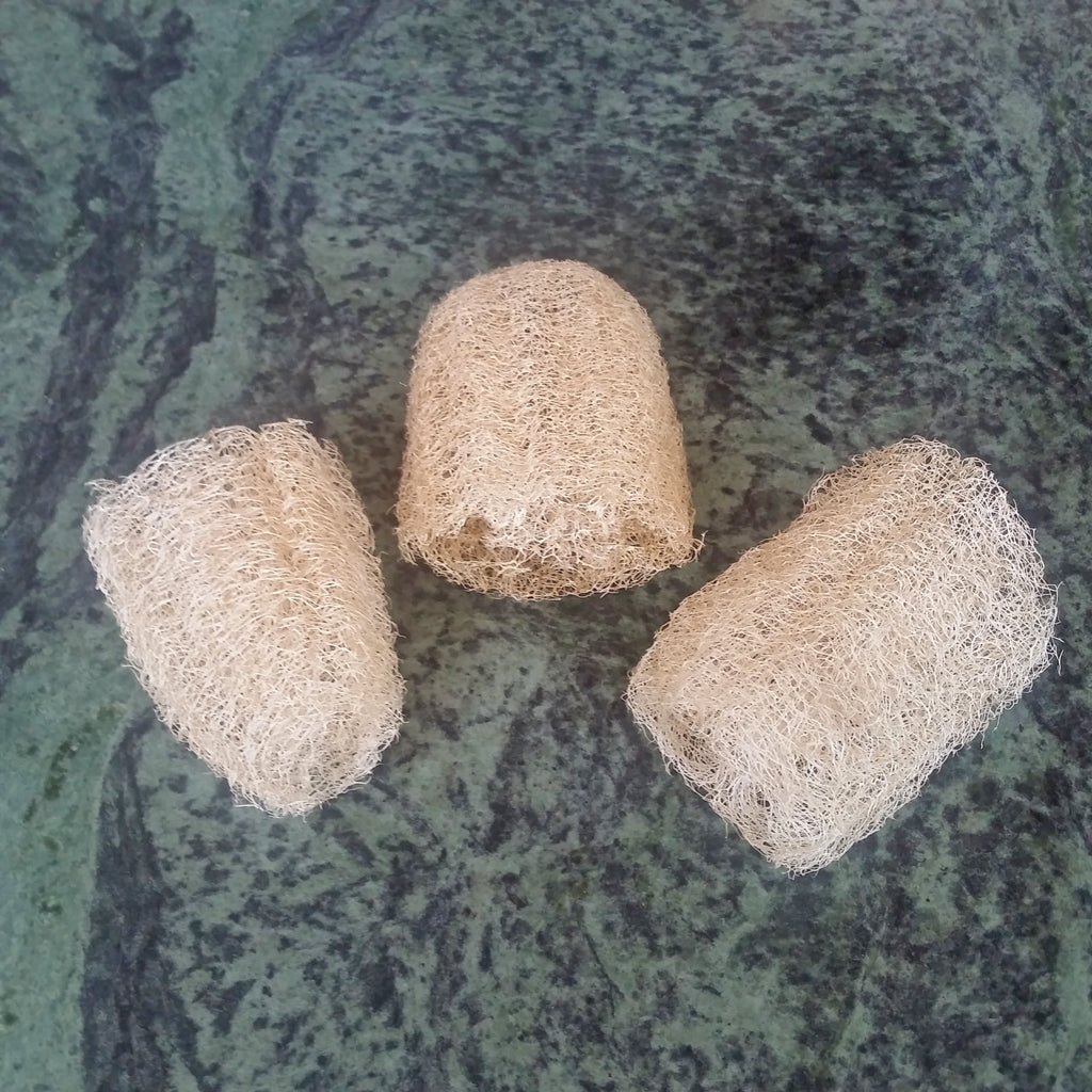 3-pack of 3" Extra Soft Luffa Sponge Pieces – Luffa Gardens