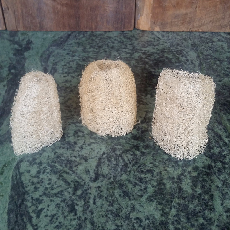 3-pack of 3" Extra Soft Luffa Sponge Pieces – Luffa Gardens